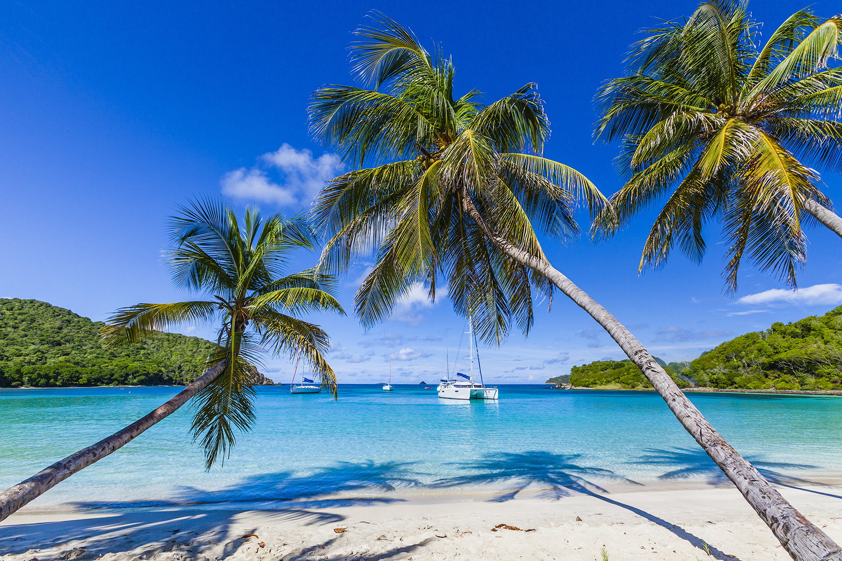 Cruise til Karibien med start og stopp i Southampton – Cruise.no
